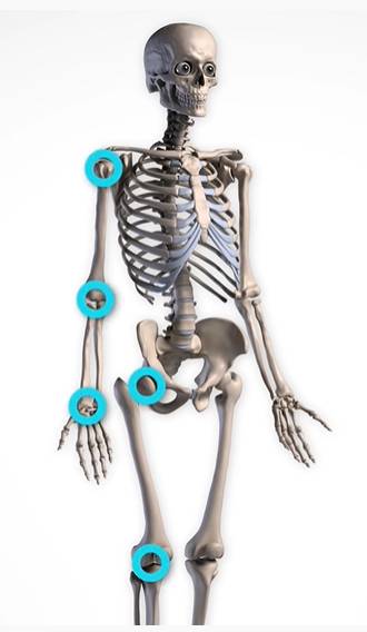 6 Types Of Joints: Human Anatomy – Welcome to SYS Medtech International ...