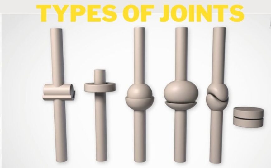 6 Types Of Joints: Human Anatomy – Welcome to SYS Medtech International ...